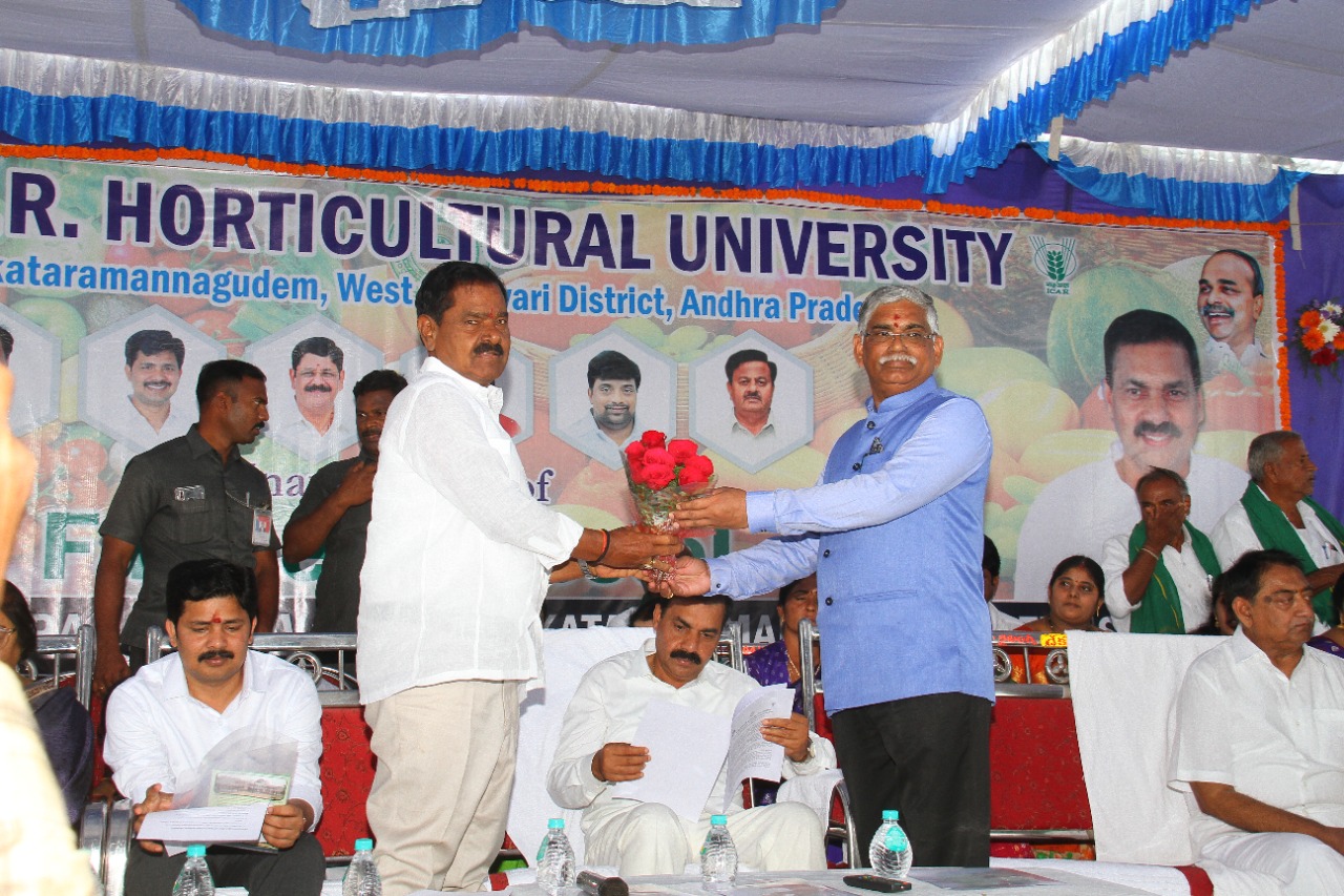 Dr.Y.S.R. Horticultural University