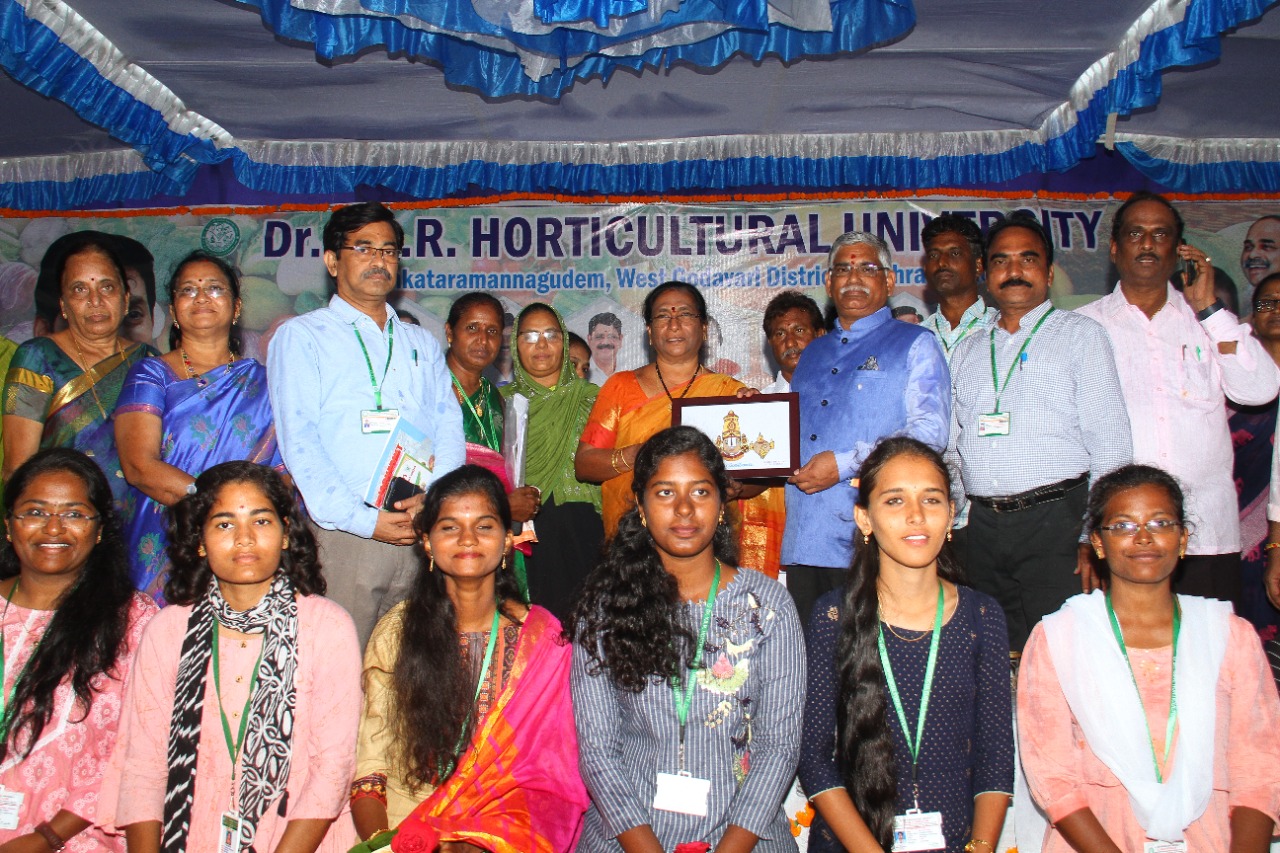 Dr.Y.S.R. Horticultural University